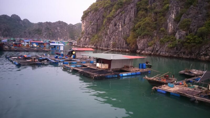 Cat Ba: 2-Day Lan Ha Bay Cruise with Plankton Excursion - What to Expect from the 2-Day Lan Ha Bay Cruise