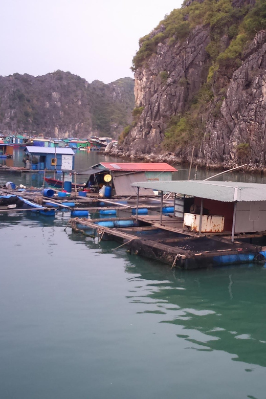 Cat Ba: 2-Day Lan Ha Bay Cruise with Plankton Excursion - Authentic Experiences and Genuine Value