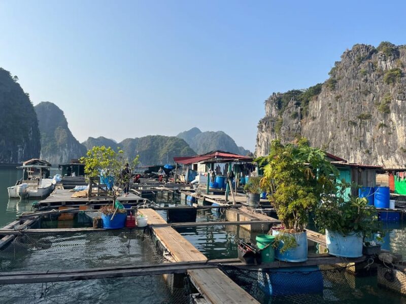 Cat Ba: 2-Day Lan Ha Bay Cruise with Plankton Excursion - FAQ