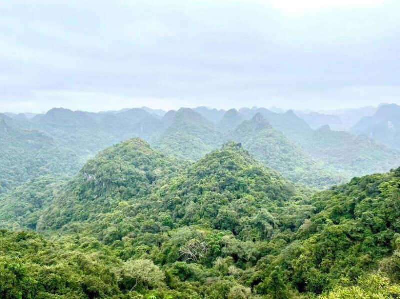 Cat Ba 2 days trip: Luxury cruise, national park & beach - Key Points