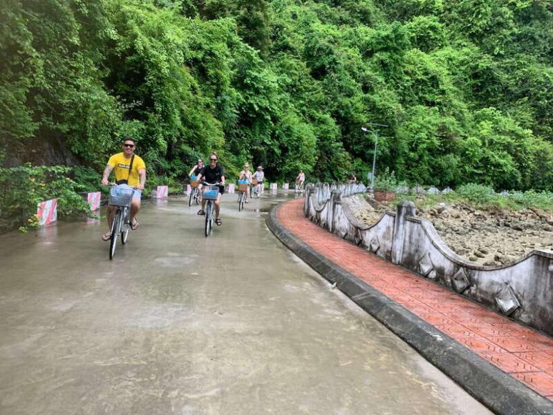 Cat Ba beauties both day and night, both park and bay - The Sum Up
