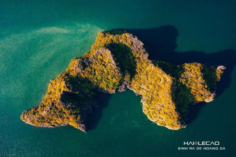 Cat Ba by night with bioluminescent plankton - A Step-by-Step Breakdown of the Itinerary