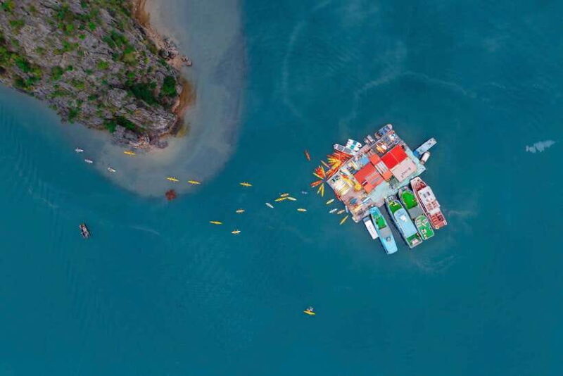 Cat Ba by night with bioluminescent plankton - Whats Included and What’s Not