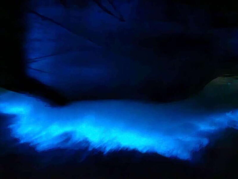 Cat Ba by night with bioluminescent plankton - Practical Tips for Travelers