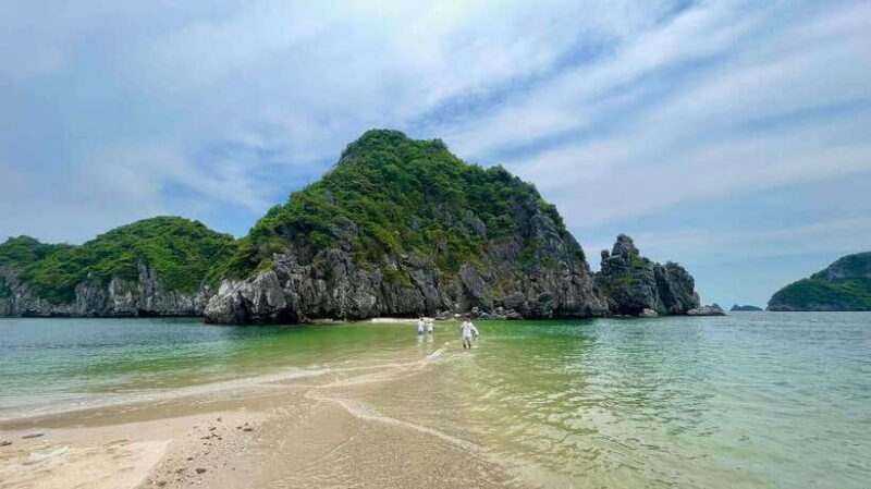 Cat Ba Island: Lan Ha Bay Bioluminescence Plankton Kayaking - Key Points