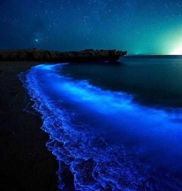 Cat Ba Island: Lan Ha Bay Bioluminescence Plankton Kayaking - The Experience and Food