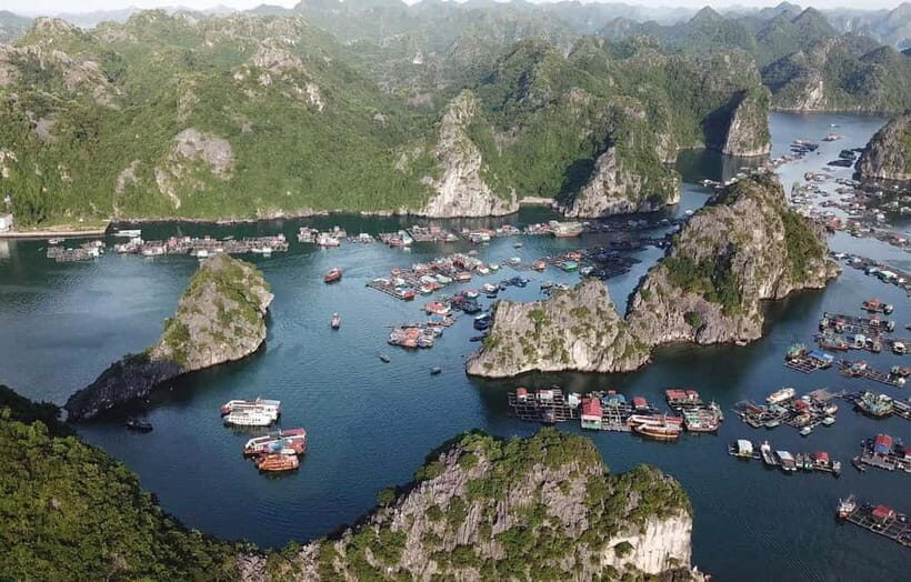 Cat Ba Island: Lan Ha Bay Cruise with Lunch & Kayaking - FAQ