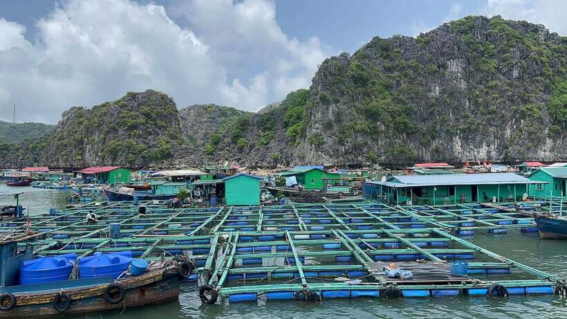 Cat Ba Island National Park Trekking And Lan Ha Bay Kayak - Overall Value and Who It’s For