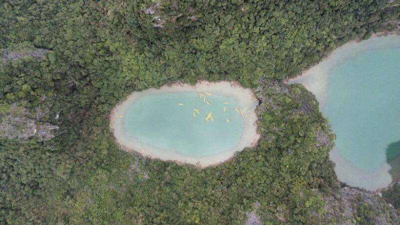 Cat Ba: Lan Ha and Ha Long Bay Boat Tour with Kayaking, Cave - Final Thoughts: Is This Tour Worth It?