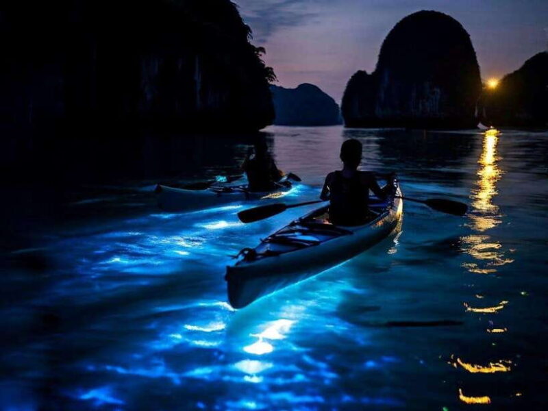 Cat Ba : Lan Ha Bay Bioluminescent Plankton Kayak Boat Tour - Authentic Experiences and Multiple Highlights