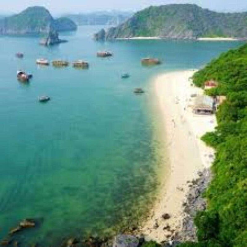 Cat Ba : Lan Ha Bay Bioluminescent Plankton Kayak Boat Tour - Who Will Enjoy This Tour?