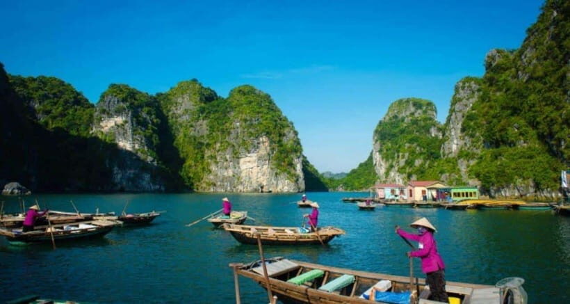 Cat Ba : Lan Ha Bay Bioluminescent Plankton Kayak Boat Tour - Who Would Love This Tour?