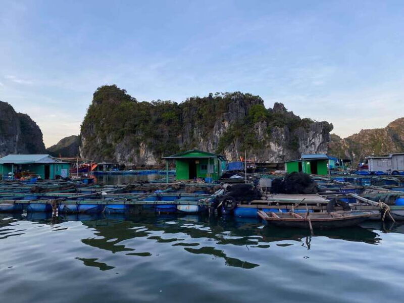 Cat Ba : Lan Ha Bay Bioluminescent Plankton Kayak Boat Tour - Key Points