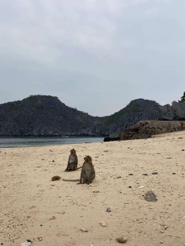 Cat Ba : Lan Ha Bay Bioluminescent Plankton Kayak Boat Tour - Authentic Experiences Highlighted by Travelers