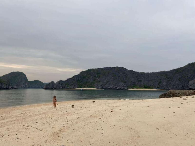 Cat Ba : Lan Ha Bay Bioluminescent Plankton Kayak Boat Tour - FAQ