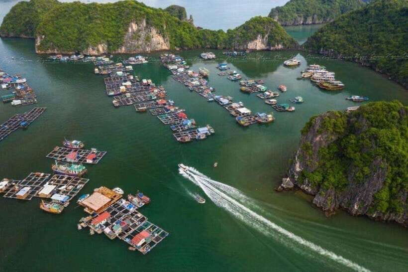 Cat Ba : Lan Ha Bay Boat Trip, Kayaking and Swimming - Dining and Amenities