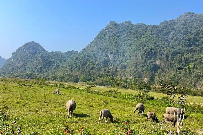 Cat Ba- Lan Ha Bay Day Trip Best Selling: Kayaking, Biking, Lunch - The Itinerary in Detail