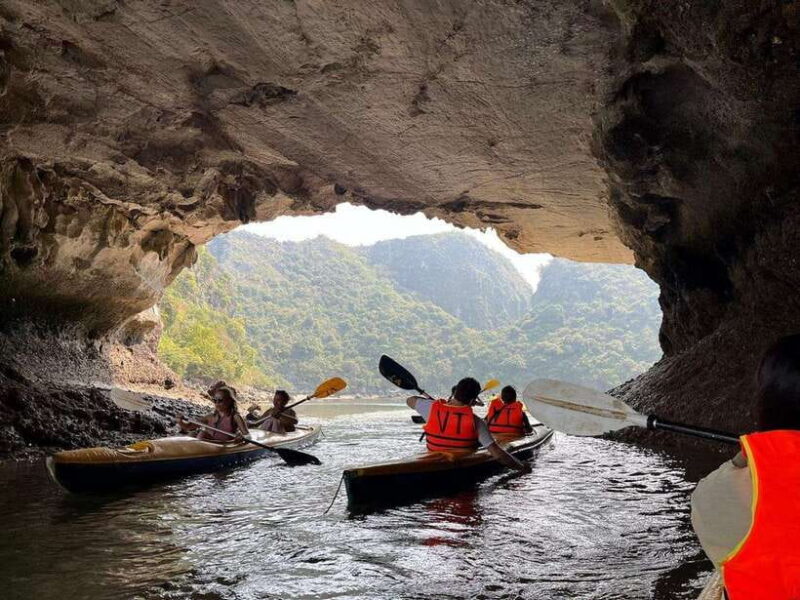 Cat Ba: Lan Ha Bay Full-Day Boat Tour - What Travelers Say About This Tour