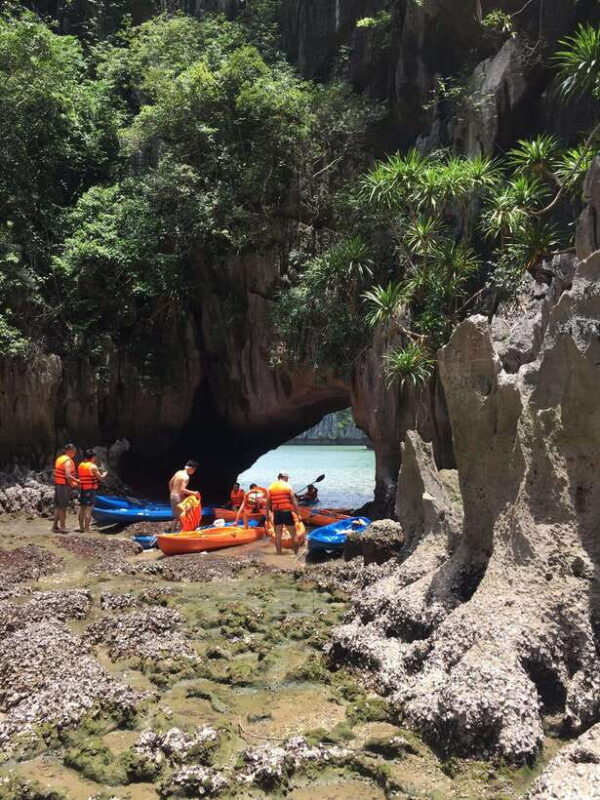 Cat Ba: Lan Ha Bay Full-Day Boat Tour - Who Will Love This Tour?