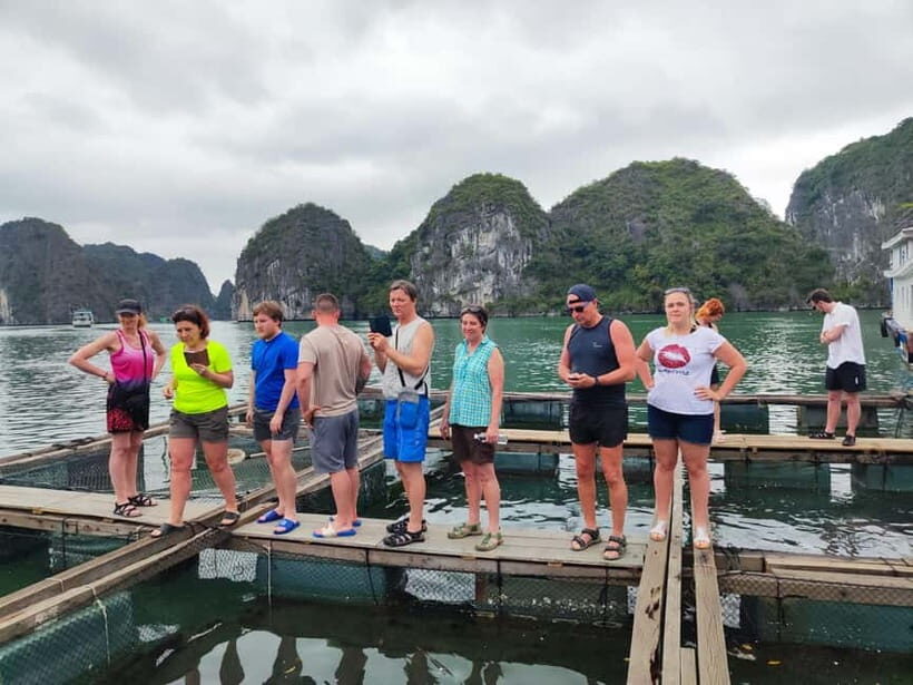Cat Ba: Lan Ha Bay Sunset Cruise and Bioluminescent Swim - The Itinerary in Detail: What You Can Expect