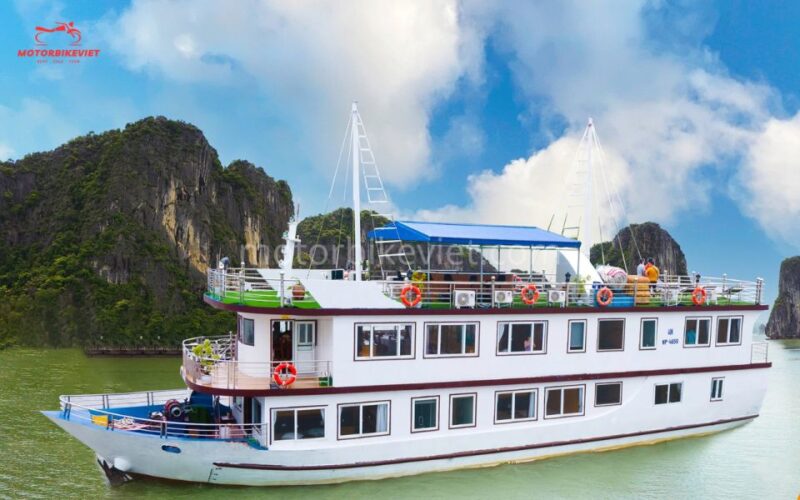 Cat Ba - Lan Ha Bay tour 2 Days - 4 START Cruise - Who Is This Tour Best For?