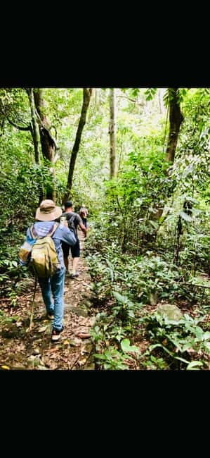Cat Ba National Park Day Tour - Hiking, Cycling, Kayaking - What’s Included and What to Budget for