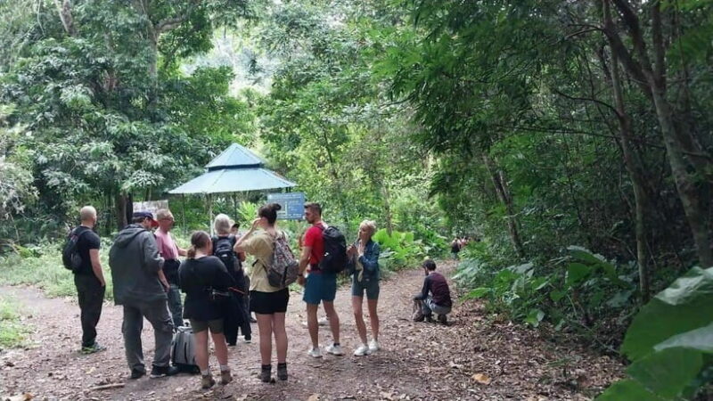 Cat Ba: National Park Day Trip with Cycling and Kayaking - Practical Considerations and Tips