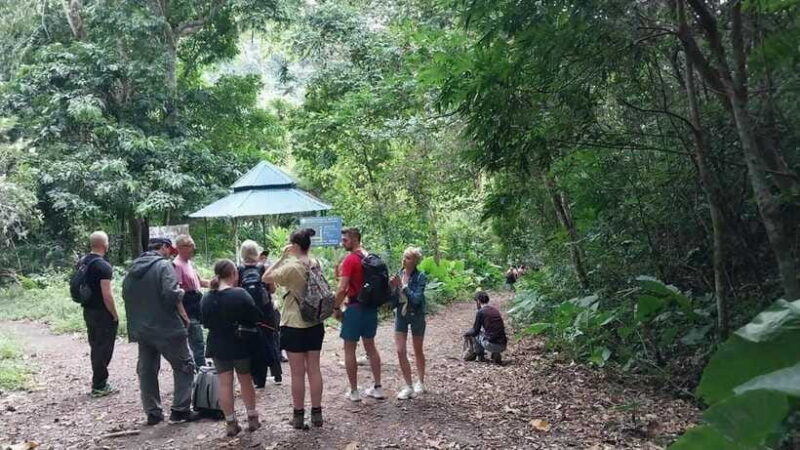 Cat Ba: National Park Day Trip with Cycling and Kayaking - Authentic Experiences & Real Traveler Insights