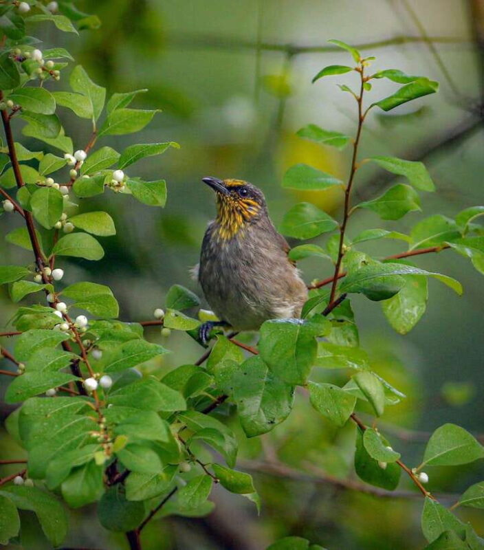 Cat Ba National Park Full Day Trekking from Cat Ba Island - The Sum Up: Who Should Book This Tour?