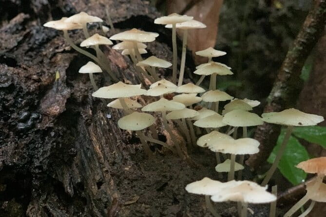 Cat Ba National Park Full Day Trekking Tour to Viet Hai Village - Who Will Love This Tour?