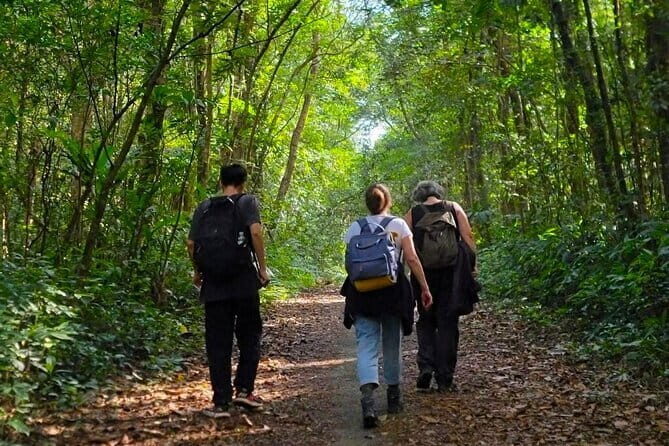 Cat Ba National Park Full-Day Guide Tour Trekking, Biking,Kayaking - Practical Aspects & Traveler Tips