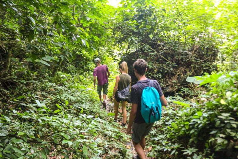 Cat Ba: National Park Trek, Village Visit and Kayak Day Tour - What Travelers Say