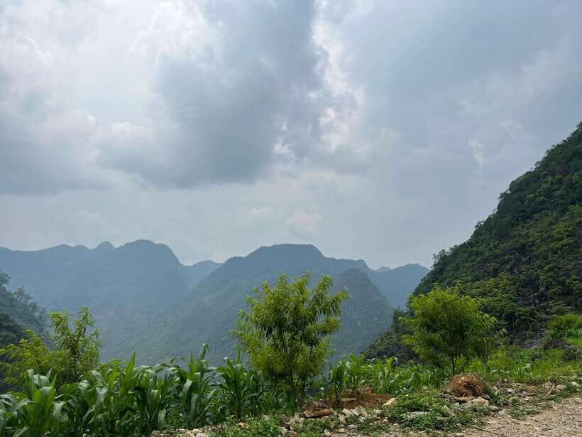 Cat Ba National Park, Viet Hai, Lan Ha Bay Full Day Eco Tour - Final Thoughts: Is It Worth It?