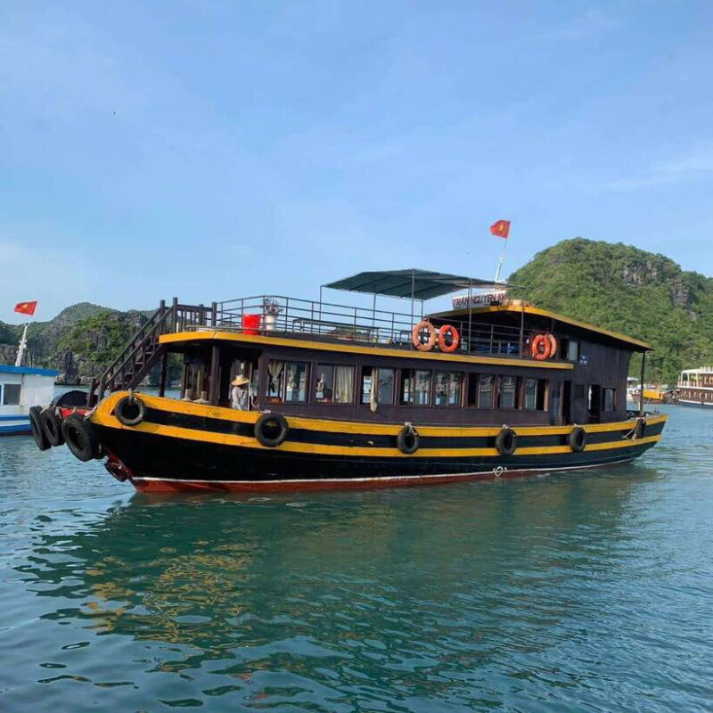 Cat Ba: Night Kayaking with Glowing Plankton - The Experience in Detail: Why This Tour Stands Out