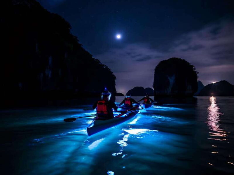 Cat Ba: Sunset and Night kayak with bioluminescent plankton - Key Points