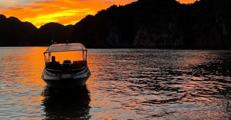 Cat Ba: Sunset and Plankton Bioluminescent Night Kayak - What to Expect: The Practical Details