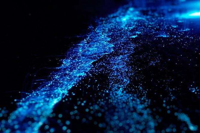 Cat Ba: Sunset & Bioluminescent Kayaking on Lan Ha Bay - What the Tour Includes and Excludes