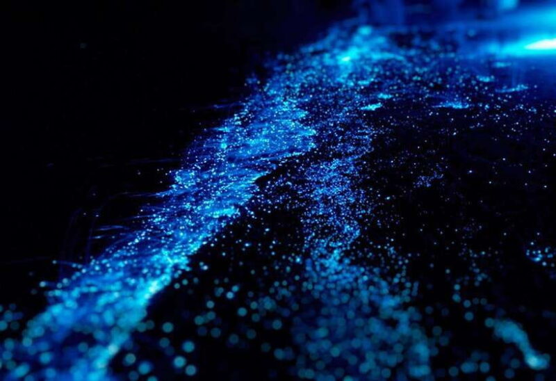 Cat Ba: Sunset & Bioluminescent Kayaking on Lan Ha Bay - The Itinerary Breakdown