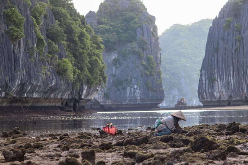 Cat Ba: Sunset & Bioluminescent Kayaking on Lan Ha Bay - FAQ