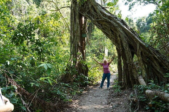 Cat Ba Trekking & Kayaking 3 days 2 nights - The Itinerary in Detail