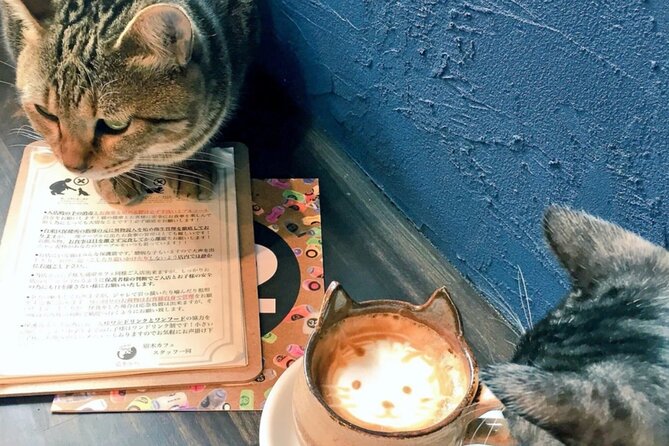 Cat Cafe & Bar Private Tour in Yanaka & Yushima - Tour Schedule