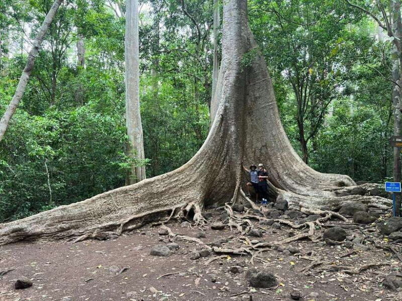 Cat Tien National Park And Tri An Lake Camping 2 Days Tour - The Bottom Line: Who Is This Tour Best For?