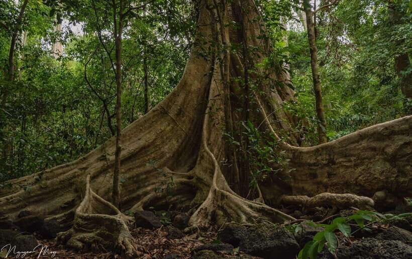 Cat Tien National Park Cycling Tour With Tri An Lake Camping - Who Is This Tour Best Suited For?