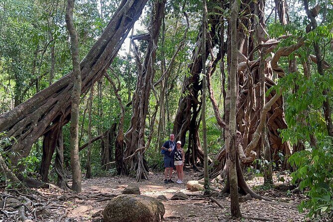 Cat Tien National Park Tour: Biking, Walking, Wildlife Safari - Key Points
