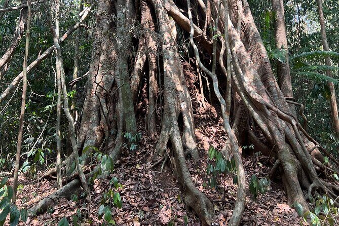 Cat Tien National Park Tour: Biking, Walking, Wildlife Safari - Why This Tour Is a Great Choice