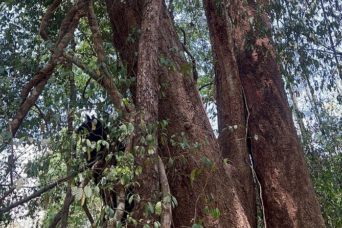 Cat Tien National Park Tour: Biking, Walking, Wildlife Safari - Final Thoughts