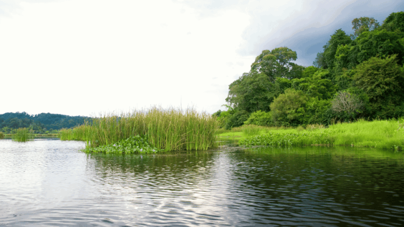 Cat Tien National Park with Crocodile Lake - Final Thoughts: Is It Worth It?