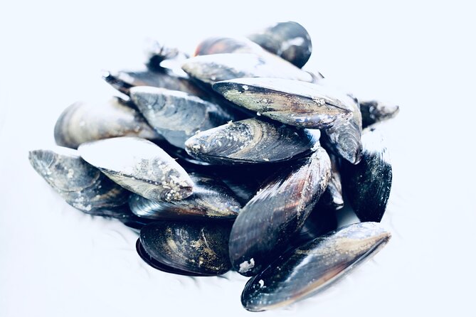 Catalan Paella Cooking Class With Small Group in Barcelona - Exploring Catalan Culinary Traditions