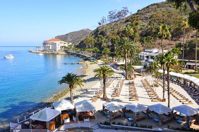 Catalina Express: San Pedro to Avalon One-Way Ferry - Who Will Love This Trip?