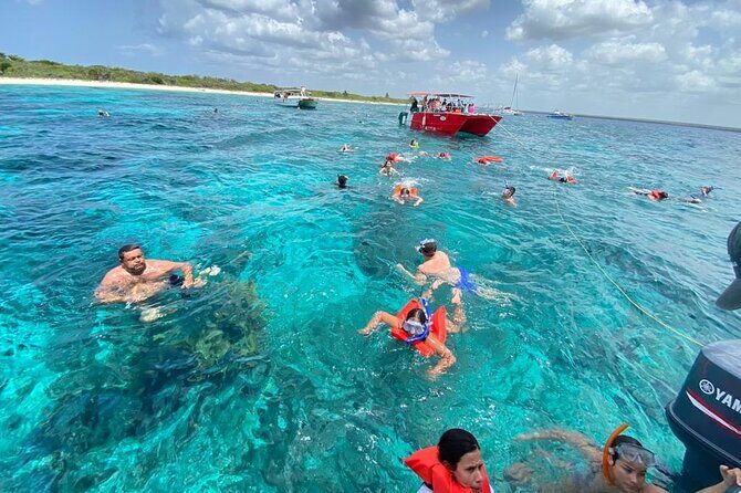 Catalina Island and Snorkeling - Full-day Trip - Introduction